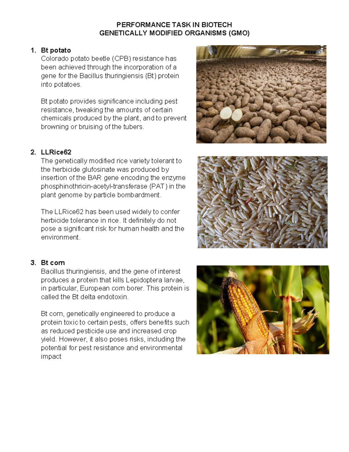 PERFORMANCE TASK IN BIOTECH: GMOs Overview and Significance - Studocu