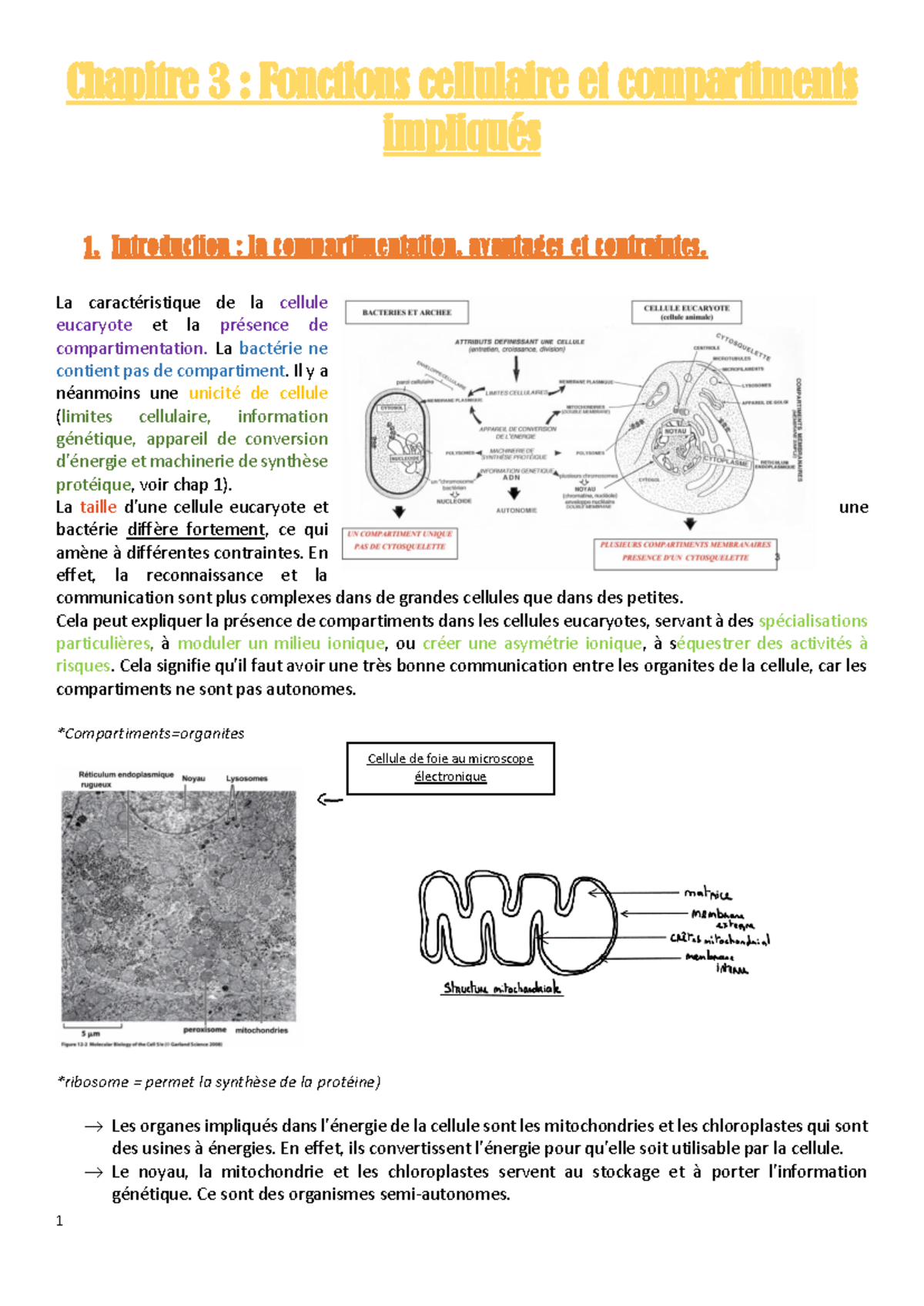 Chapitre 3 : Compartiments et Fonctions Cellulaires Eucaryotes - Studocu
