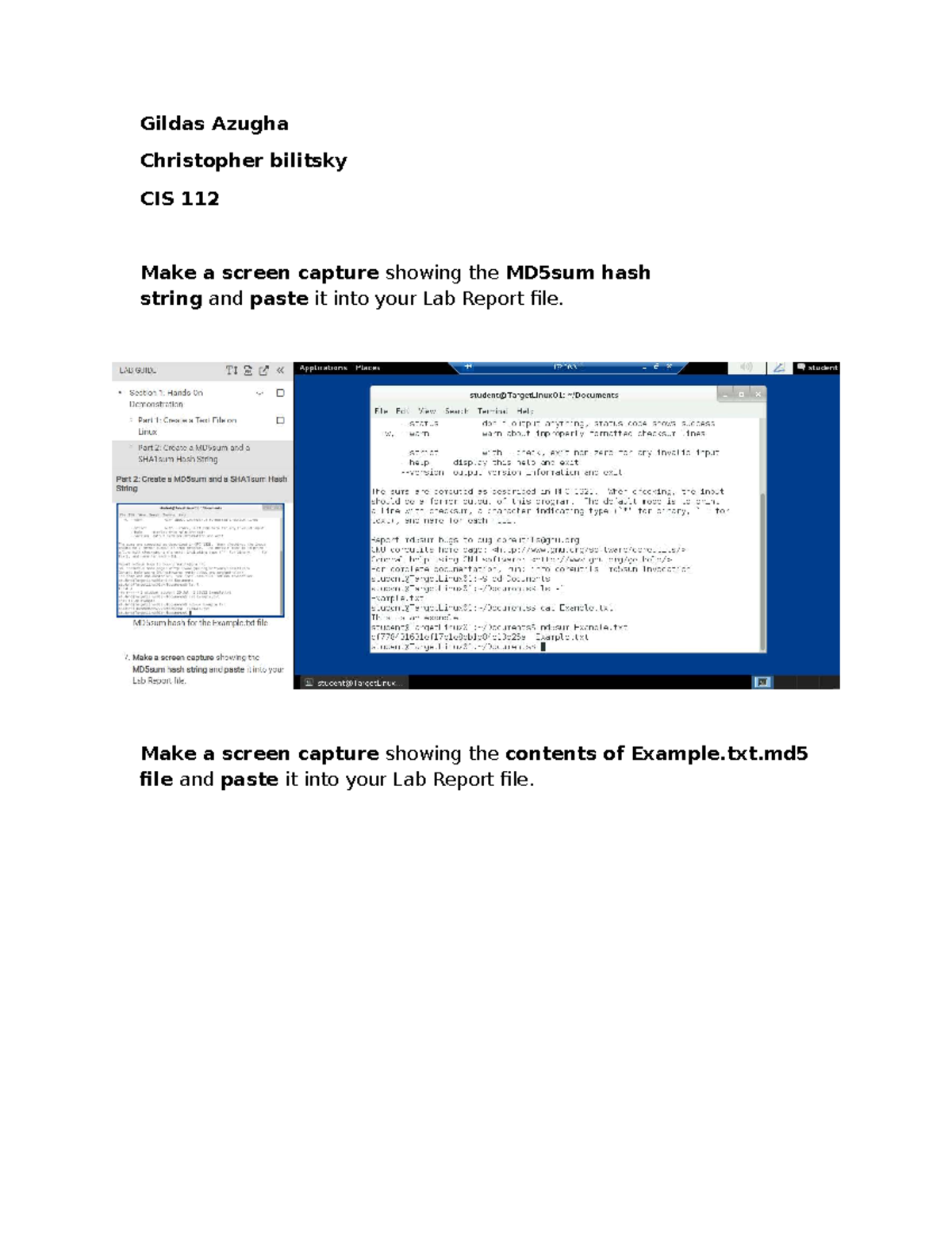 Lab report for CIS 112: Screen captures and hash strings analysis - Studocu