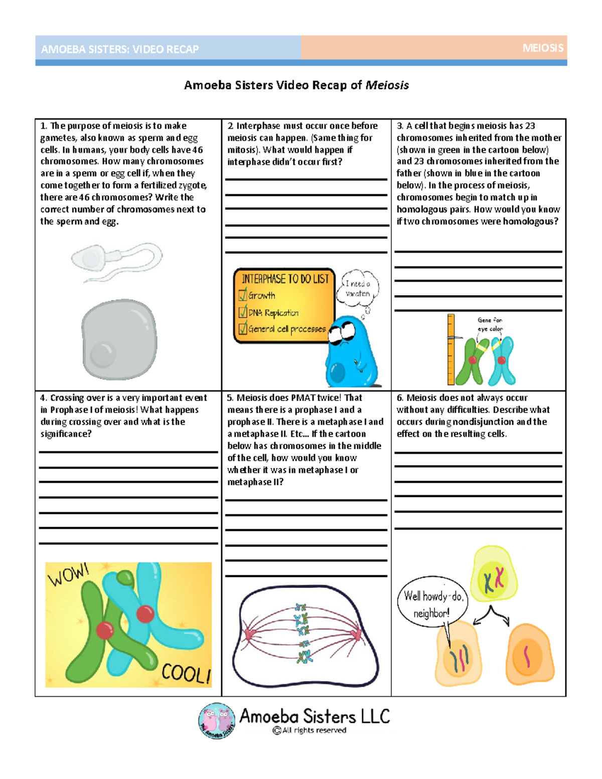 AS Biology Lecture: Meiosis Video Recap Notes - Studocu