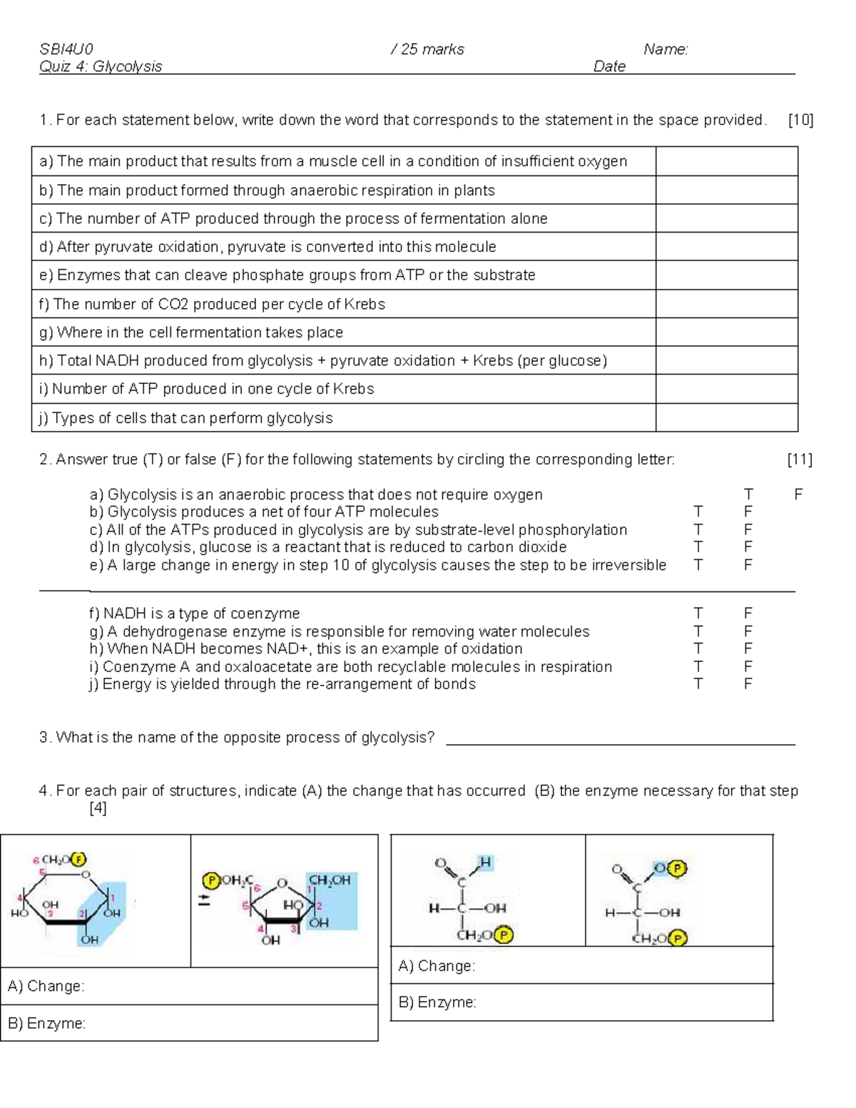 SBI4U0 Quiz 4: Glycolysis and Krebs Cycle Review - Studocu