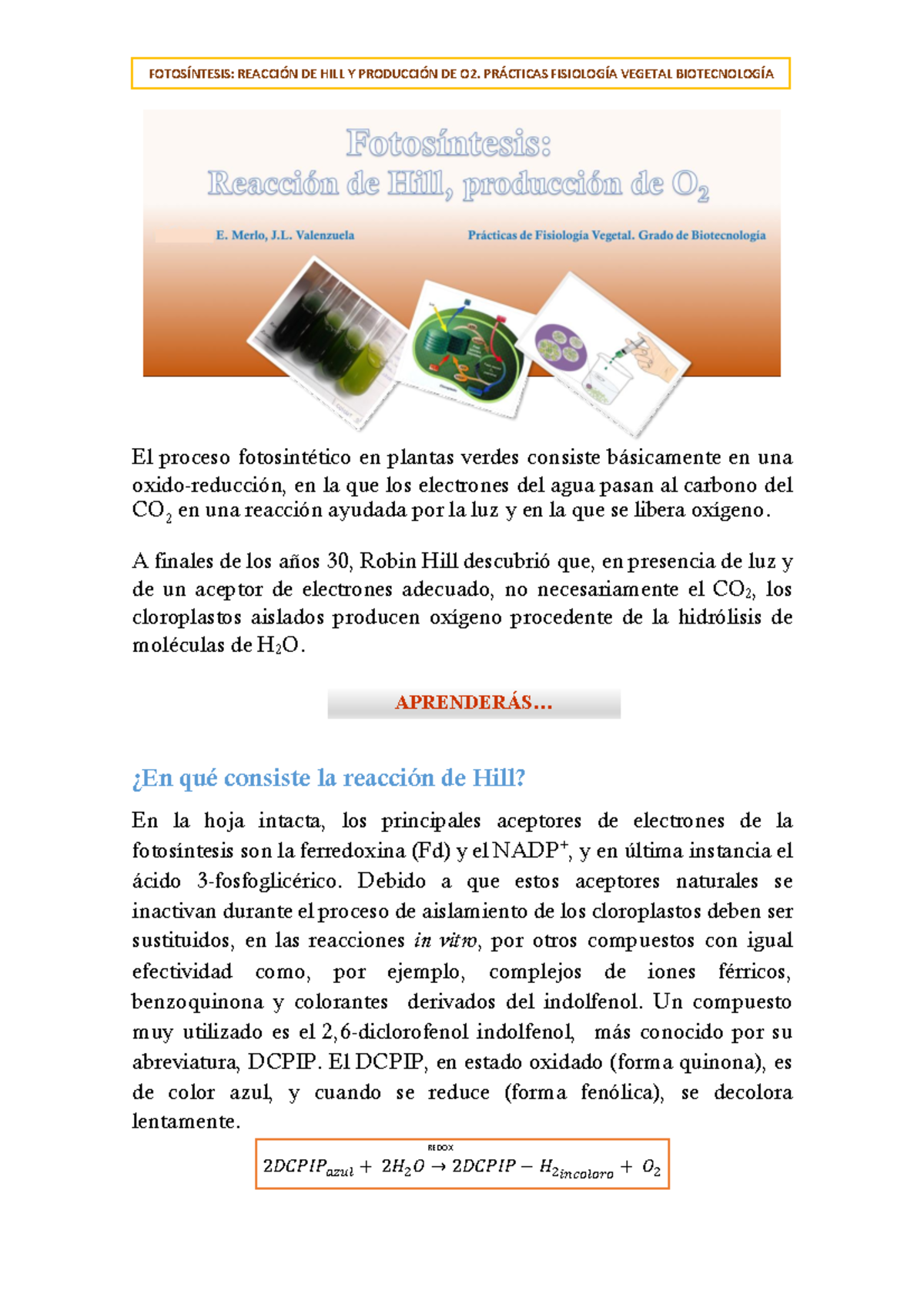 Práctica 4: Reacción de Hill en Fisiología Vegetal - Efecto de Luz ...