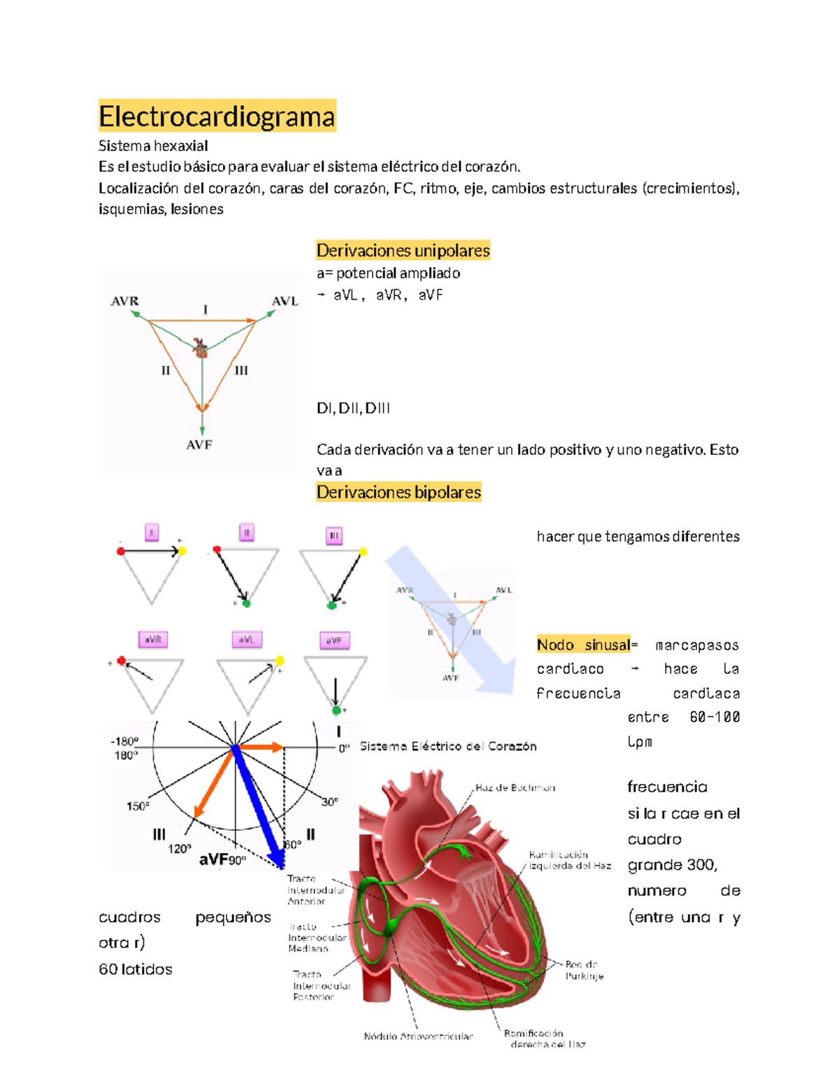 Electrocardiograma - Electrocardiograma Sistema hexaxial Es el estudio ...