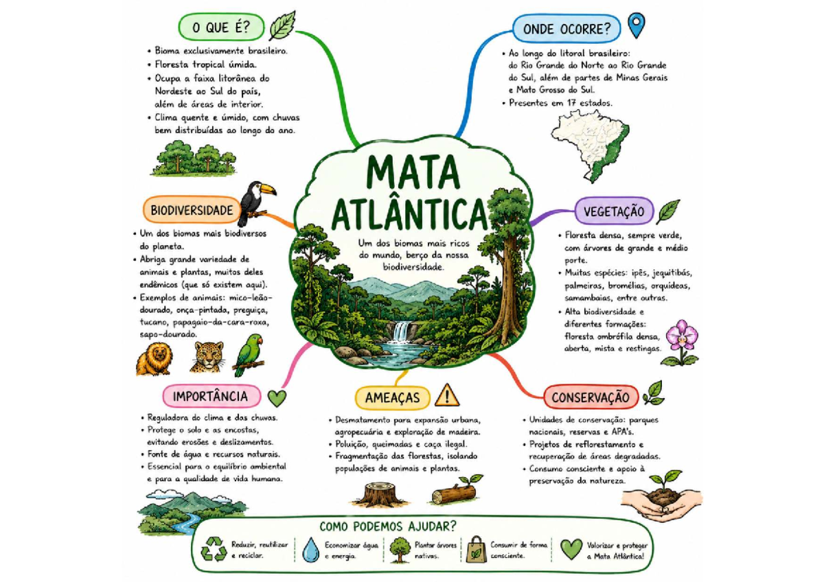 Mapa Mental: Bioma Mata Atlântica e sua Biodiversidade - Studocu