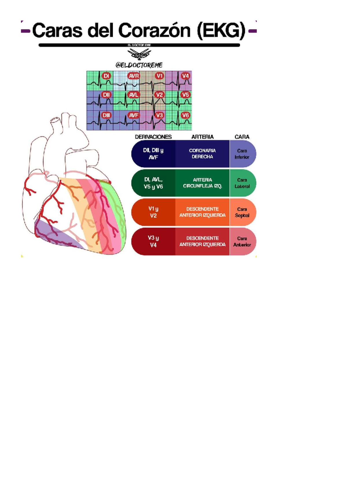 Caras del Corazón (EKG) - Análisis de Derivaciones y Elevaciones ST ...