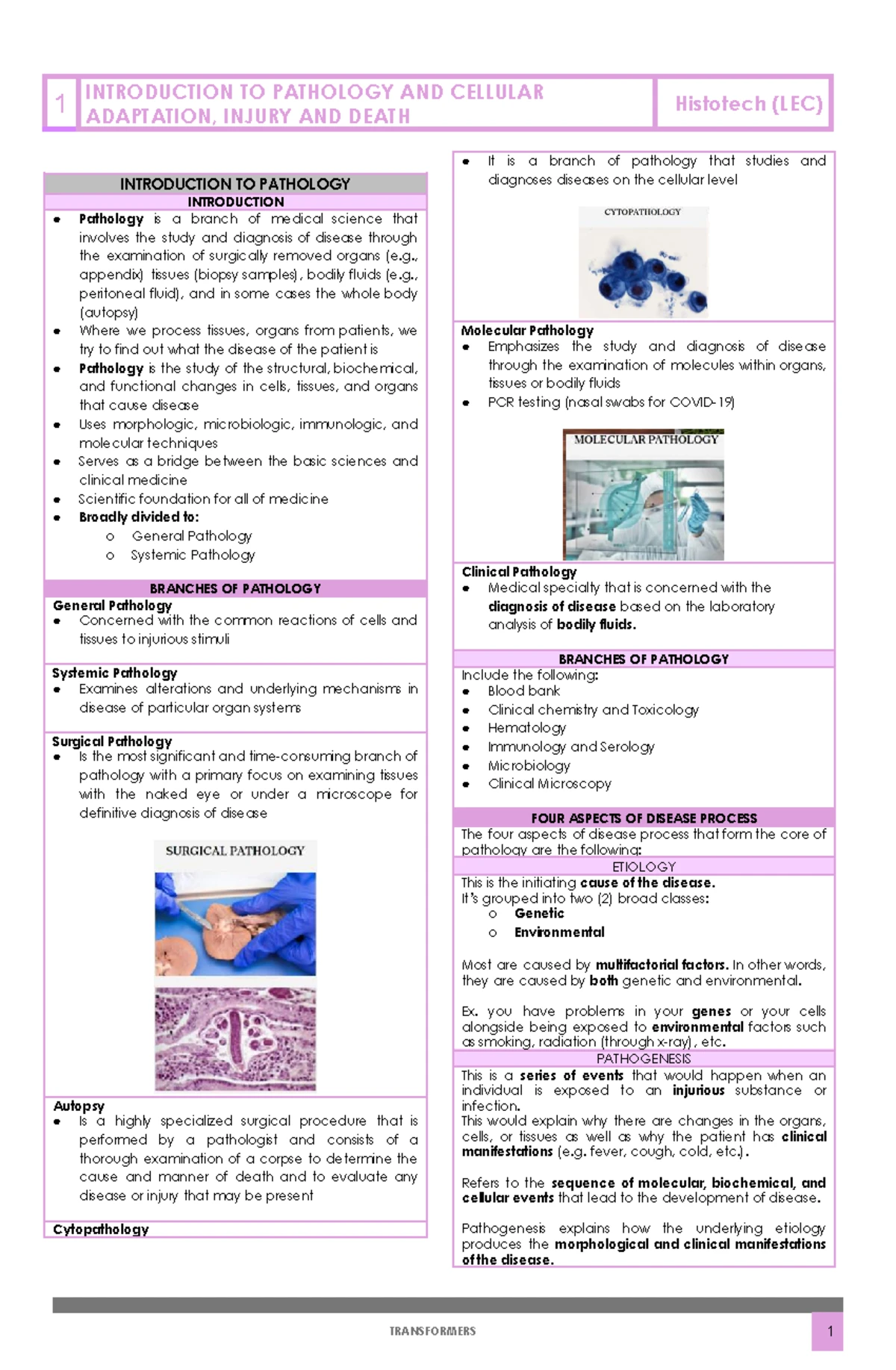 Introduction to Histopathology Techniques (HISTOPATH 101 Part 1) - Studocu