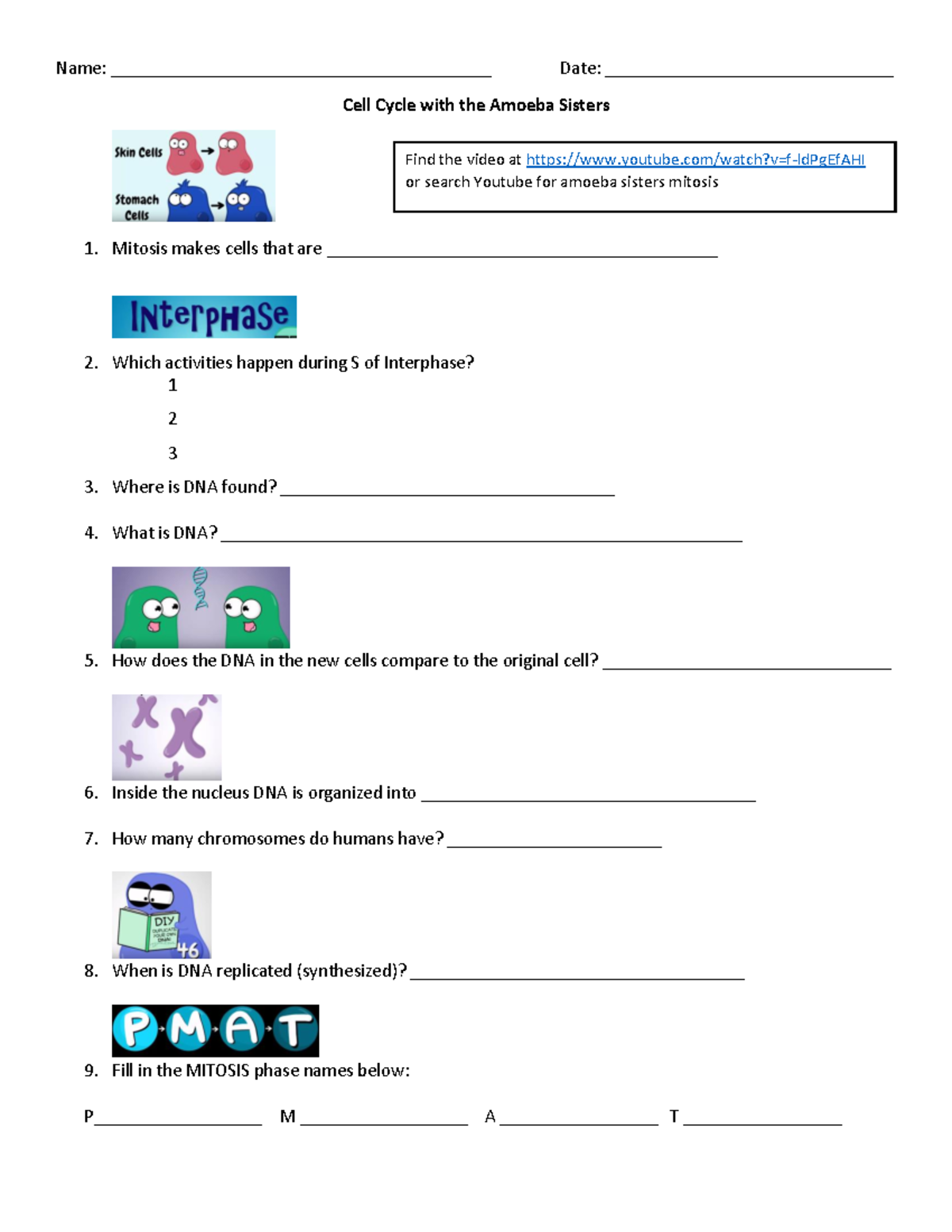 Cell Cycle Practice: Mitosis with Amoeba Sisters (Bio 101) - Studocu