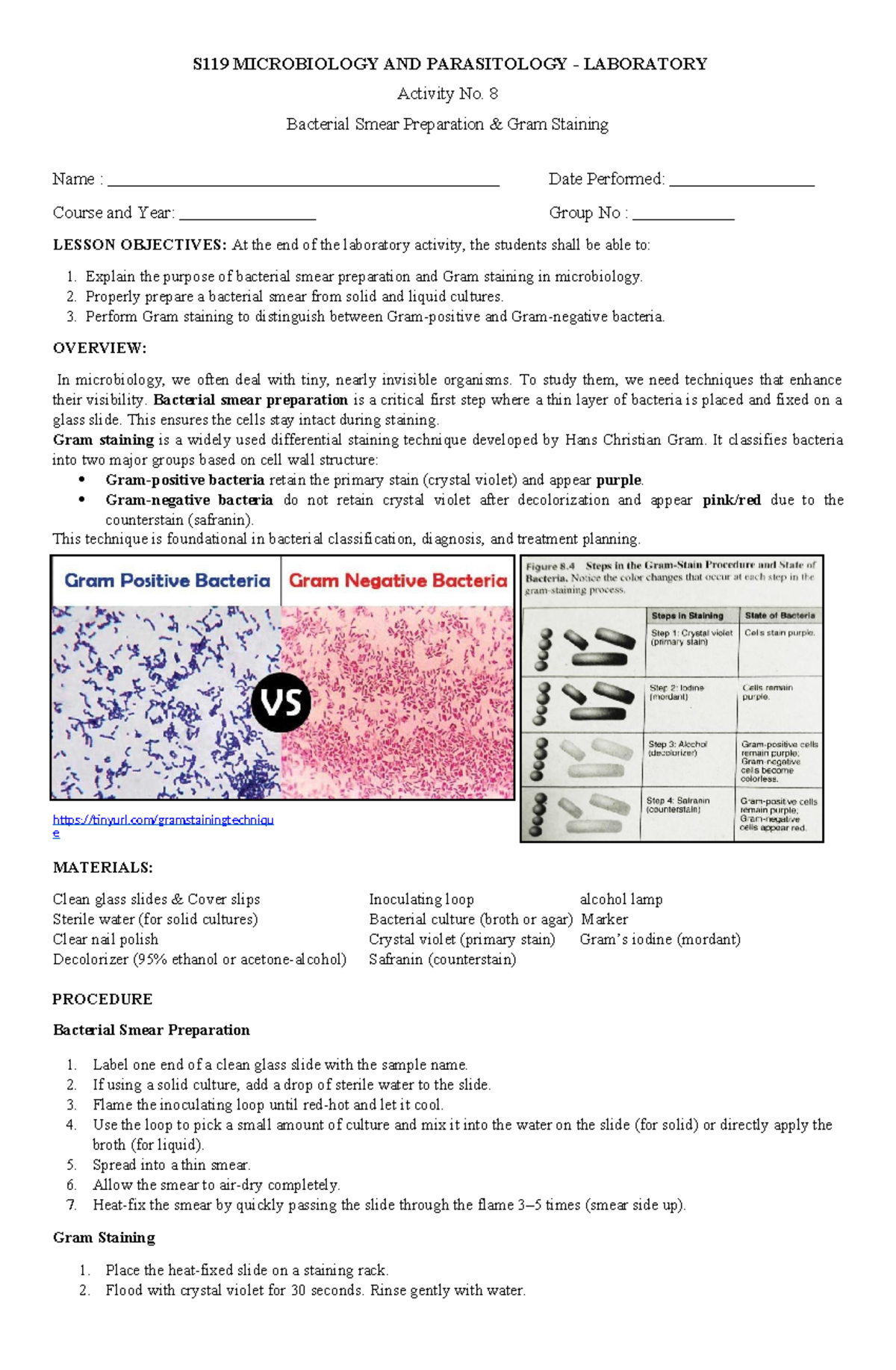 S119 MICROBIOLOGY LAB: Activity 8 - Bacterial Smear & Gram Staining ...