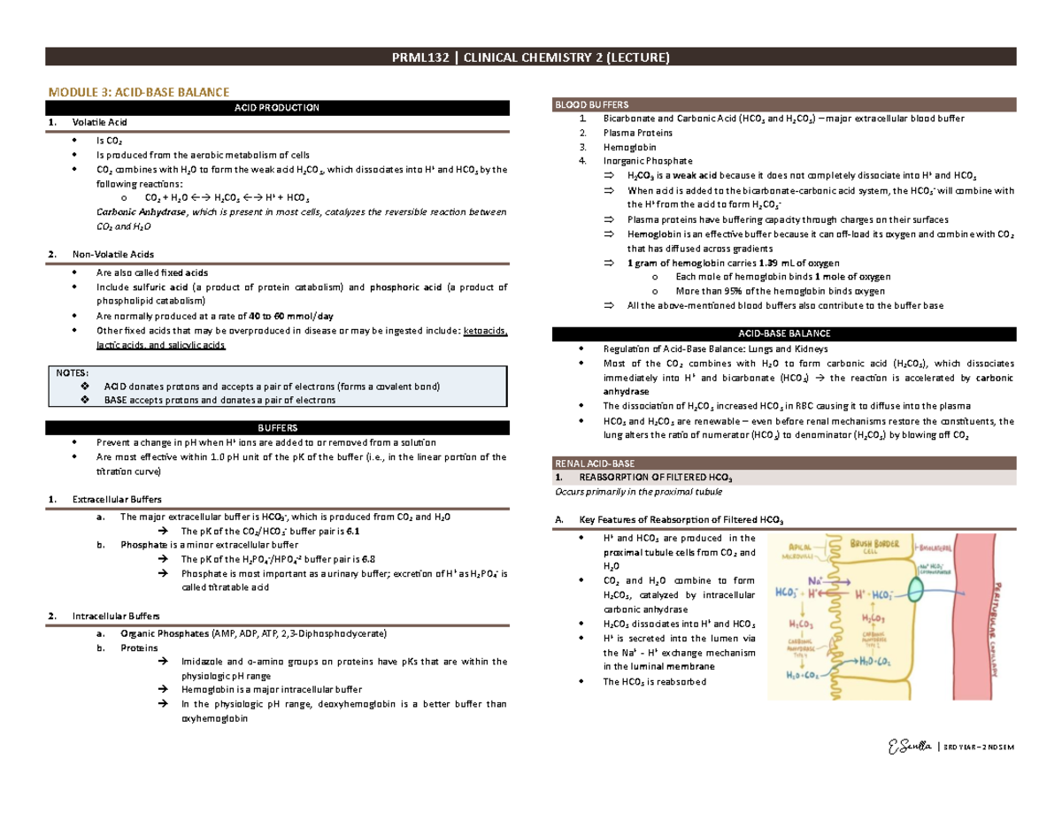 M3 Acid-Base Balance Lecture Notes CC2 LEC 2 - Comprehensive Guide ...