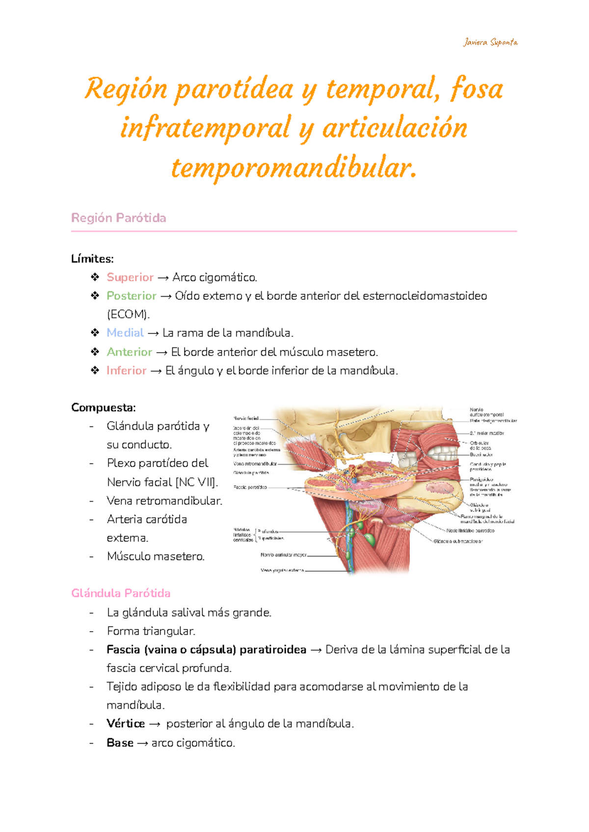 Estudio sobre la Región Parotídea y Articulación Temporomandibular ...