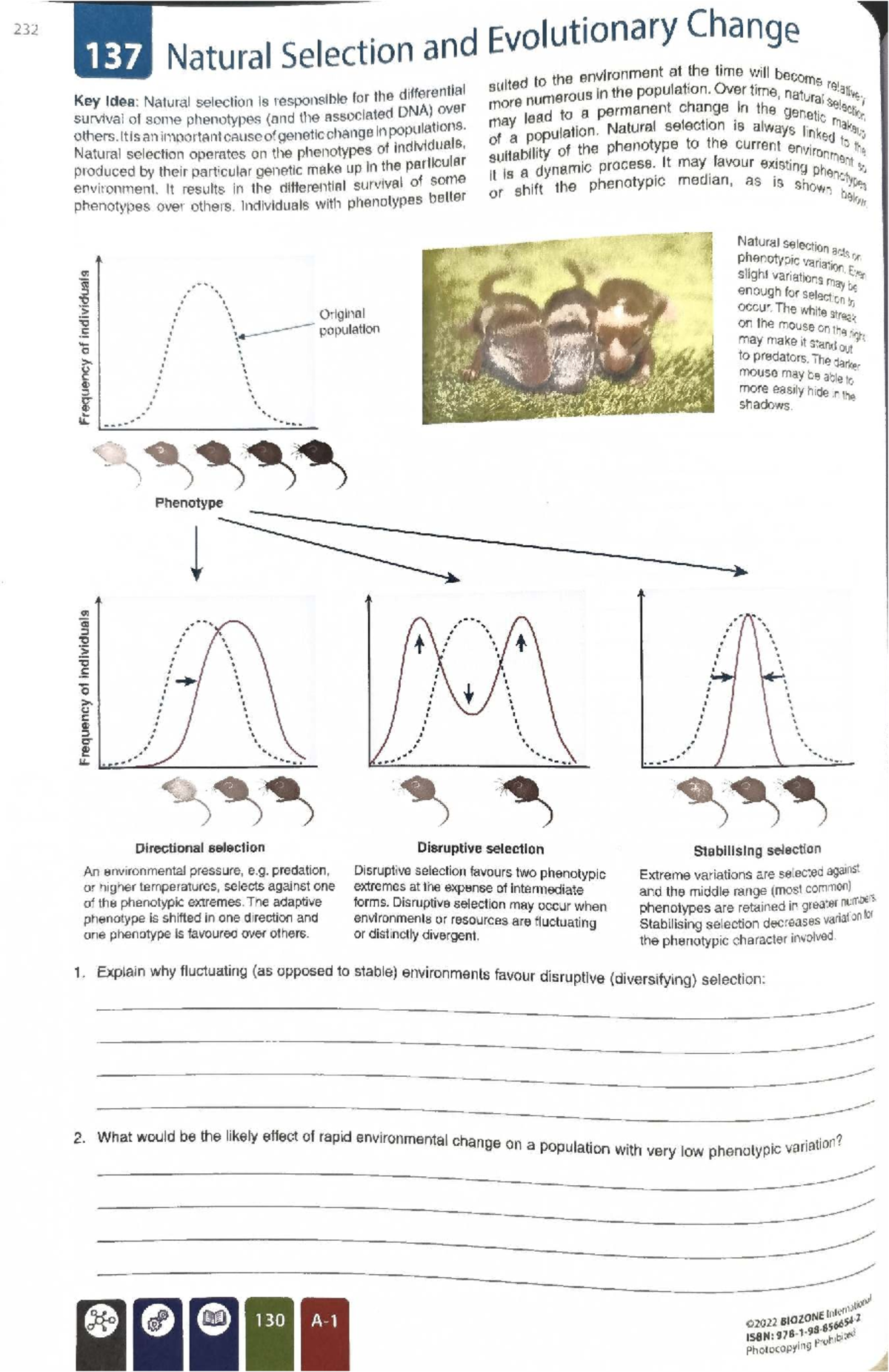 BZ3 137 Natural Selection and Evolutionary Change Overview - Studocu