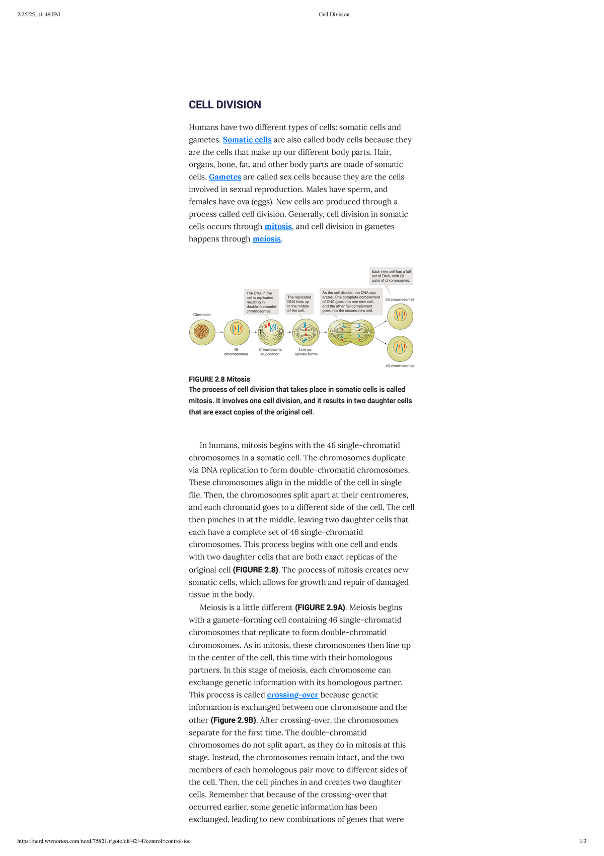 Lab Manual: Understanding Cell Division - Mitosis & Meiosis Process ...