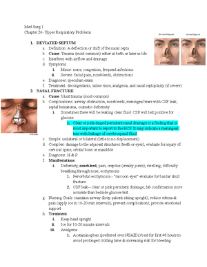 Diabetes Mellitus ATI System Disorder Template - ACTIVE LEARNING ...
