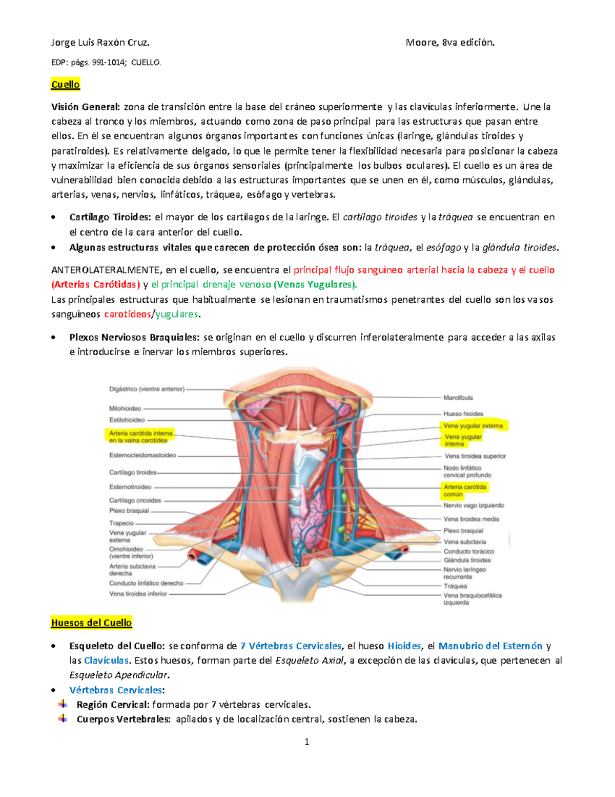 Resumen completo de anatomía del cuello - EDP: págs. 991-1014 - Studocu