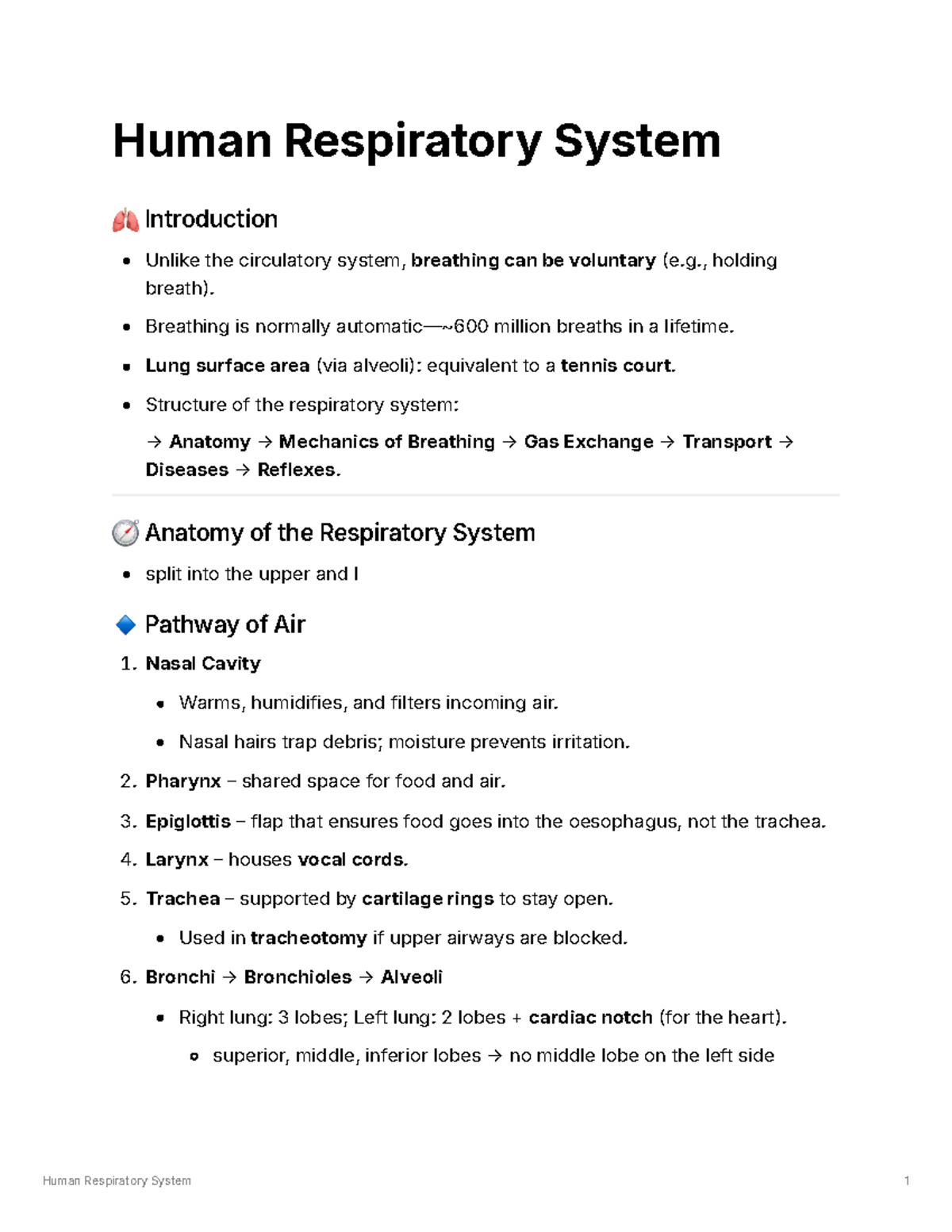 Human Respiratory System: Anatomy, Function, and Pathologies Overview ...