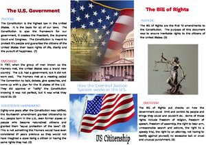 CJ 140 Project 3 Module 8 - 1 CJ 140 Module Eight Project Three Jimmi J ...