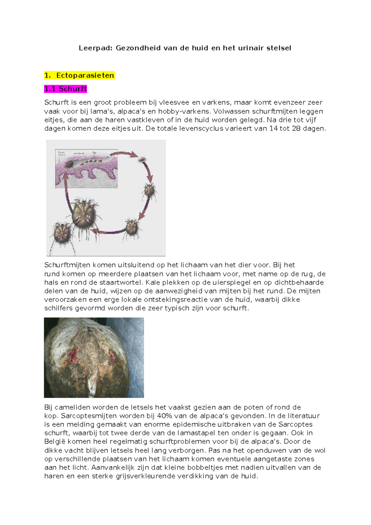 Leerpad 3: Gezondheid van de Huid en Urinair Stelsel - Studocu