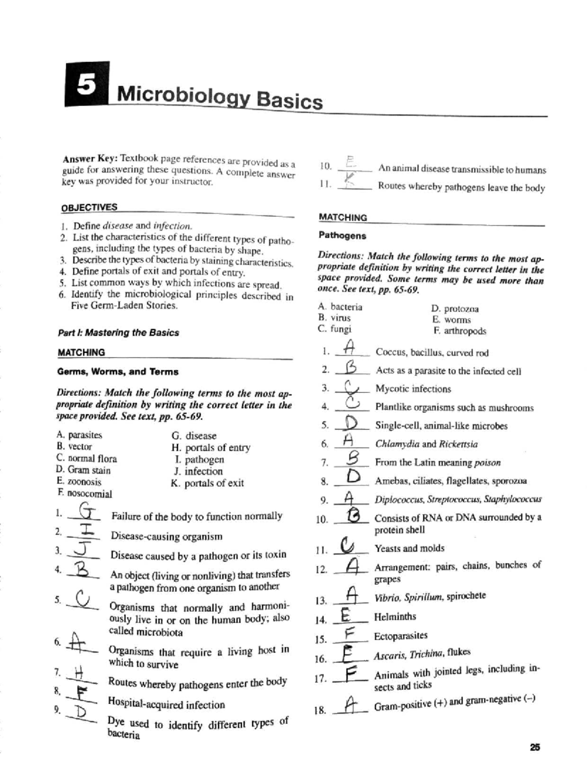 Microbiology Basics (1): Answer Key and Study Guide for Exam Prep - Studocu