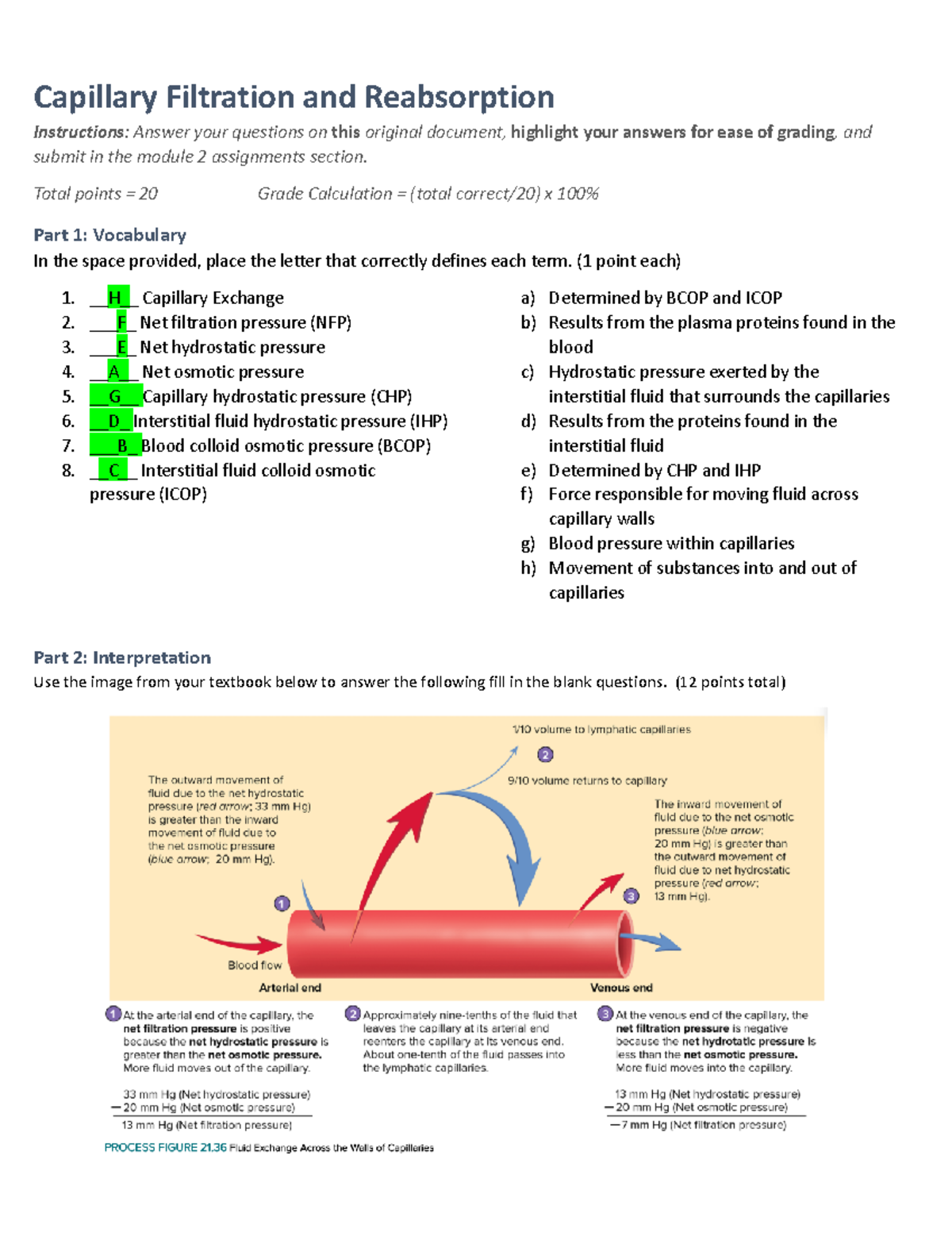 Capillary Filtration Reabsorption (word, opens in new window ...