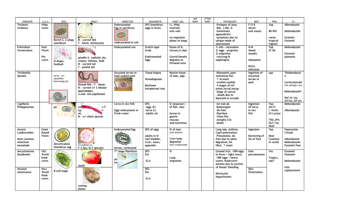 Parasitology Mega Review Table: Key Insights on Parasites and Treatment ...