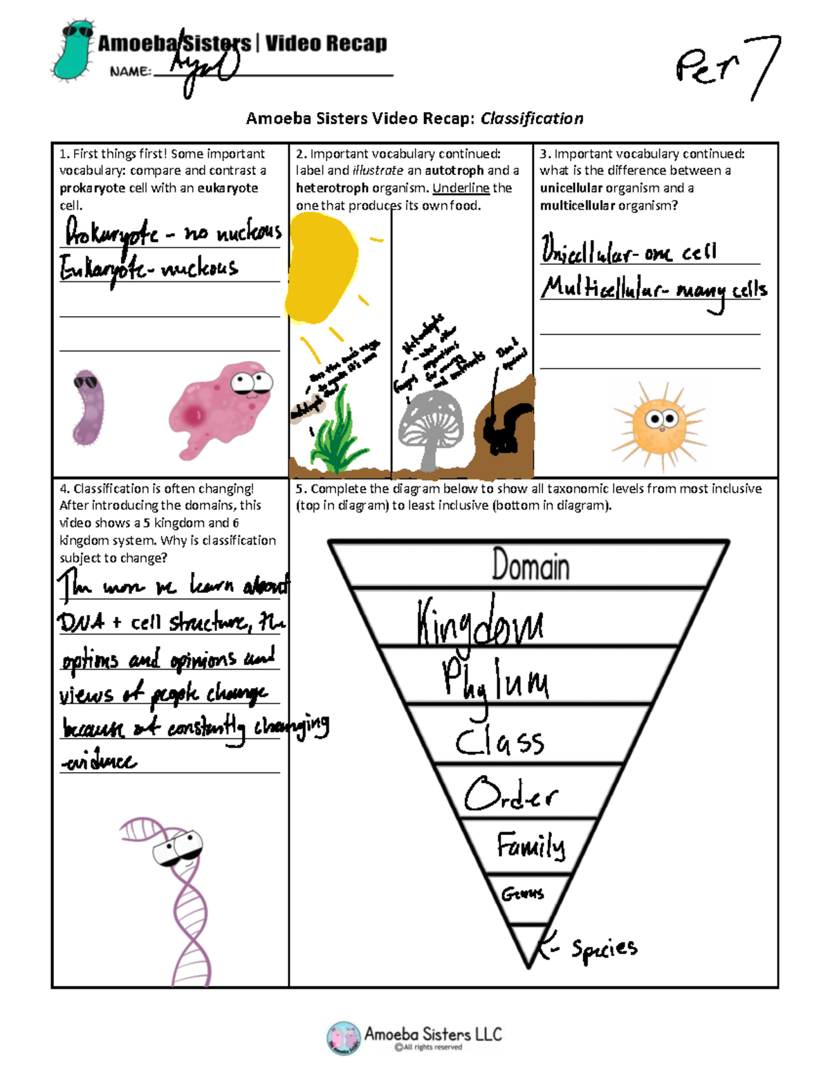 Ayo Per Amoeba Sisters Video Recap: Classification Overview - Studocu
