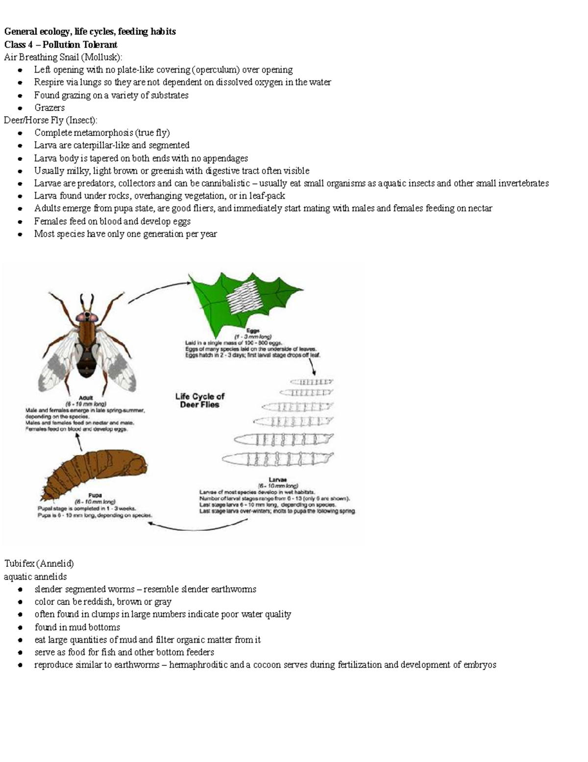 Water Quality Cheat Sheet: Class 4 Ecology & Pollution Insights - Studocu