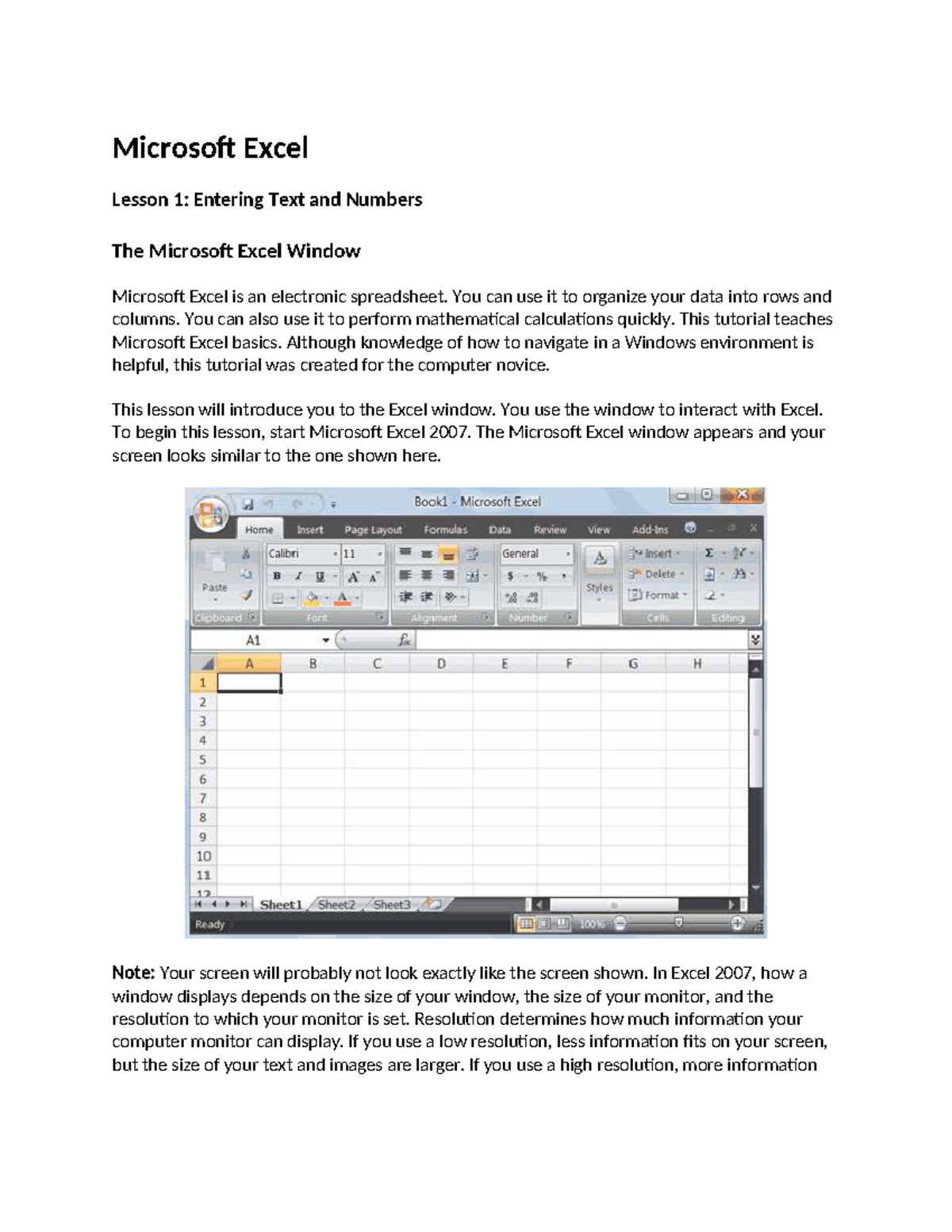Excel 2007 Lesson 1: Intro to Text, Numbers & Navigation Basics - Studocu