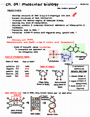 Effects of Temperature on Alcoholic Fermentation (Biology Lab ...
