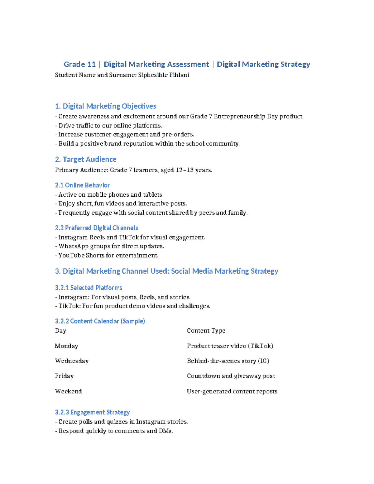 Grade 11 Digital Marketing Strategy Assessment: Engaging Grade 7 ...
