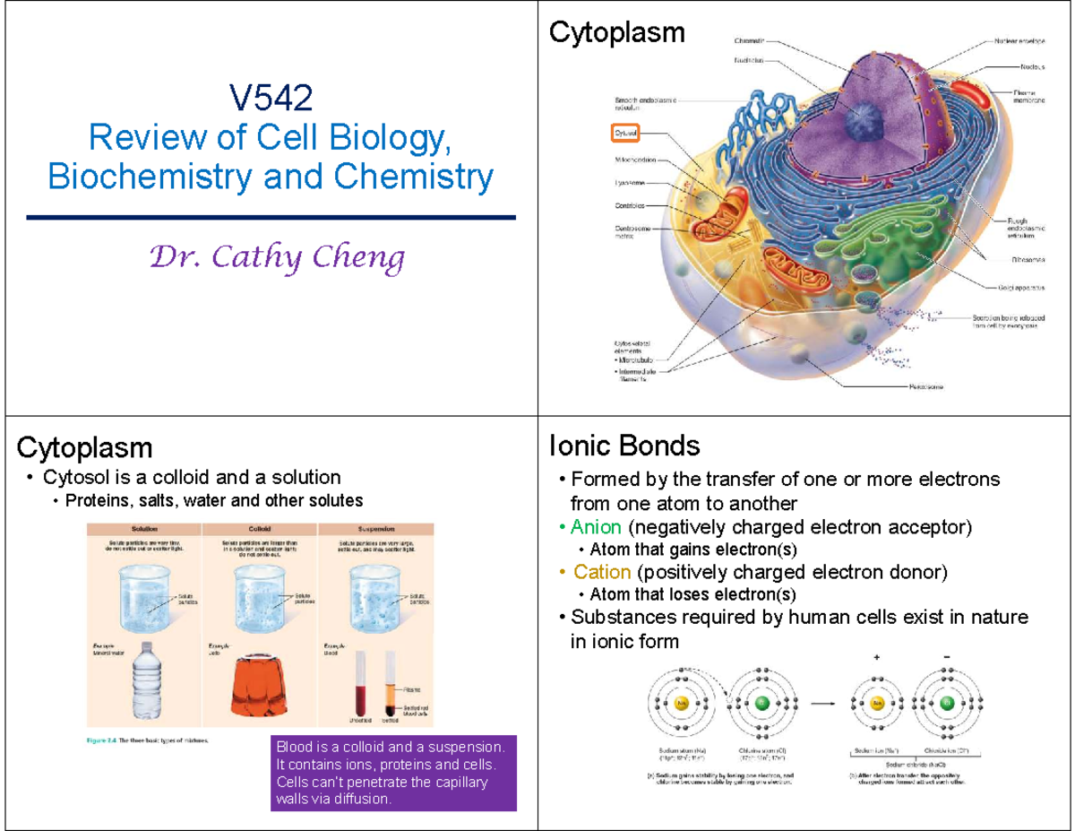 Biochemistry and Cell Biology V542: Key Concepts Review - Studocu