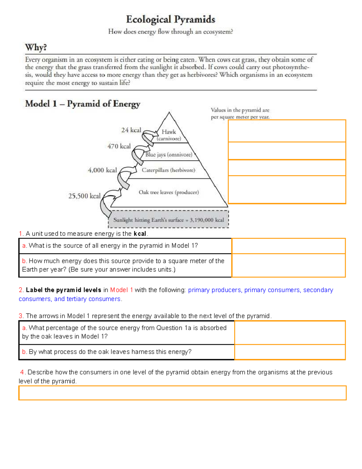 Understanding Energy Transfer in Ecological Pyramids: Model Analysis ...