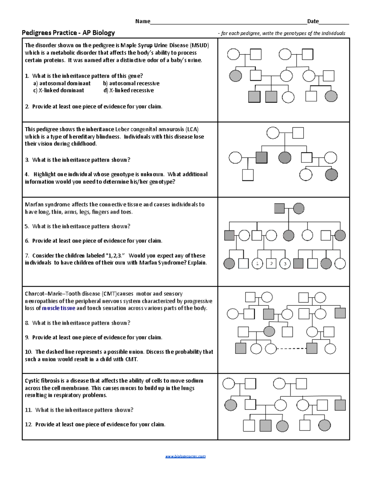 Pedigrees Practice - AP Bio - Name ...