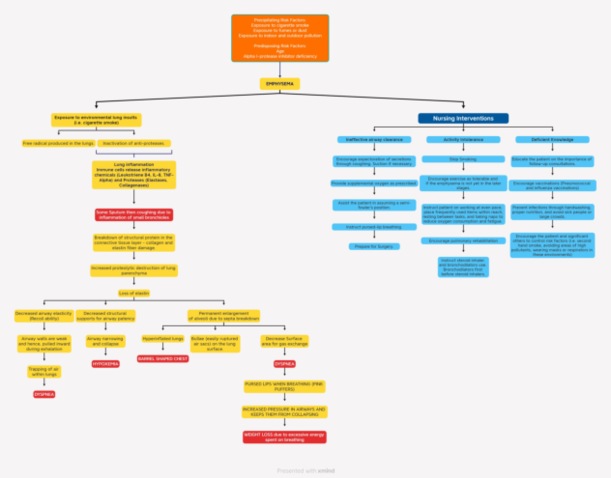 Emphysema-concept-map - Precipitating Risk Factors Exposure to ...