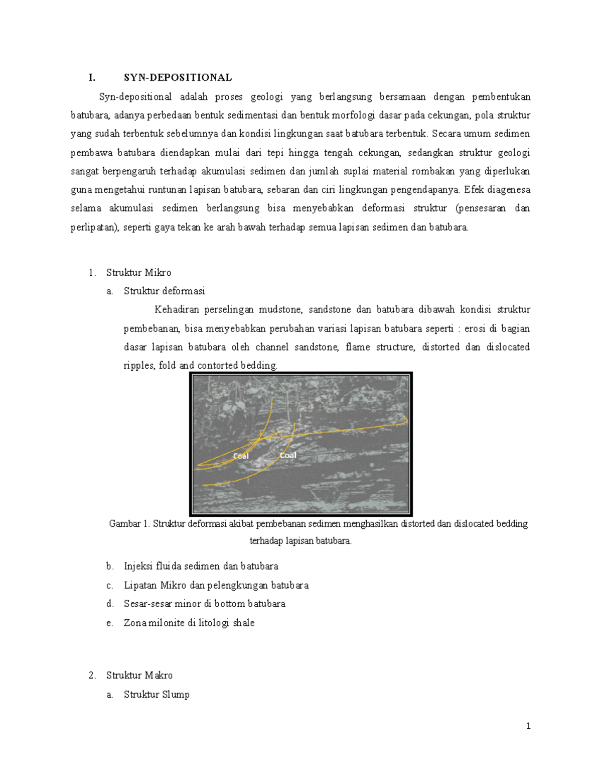 Stuktur Geologi Lapisan Batubara: Proses dan Karakteristik Pembentukan ...