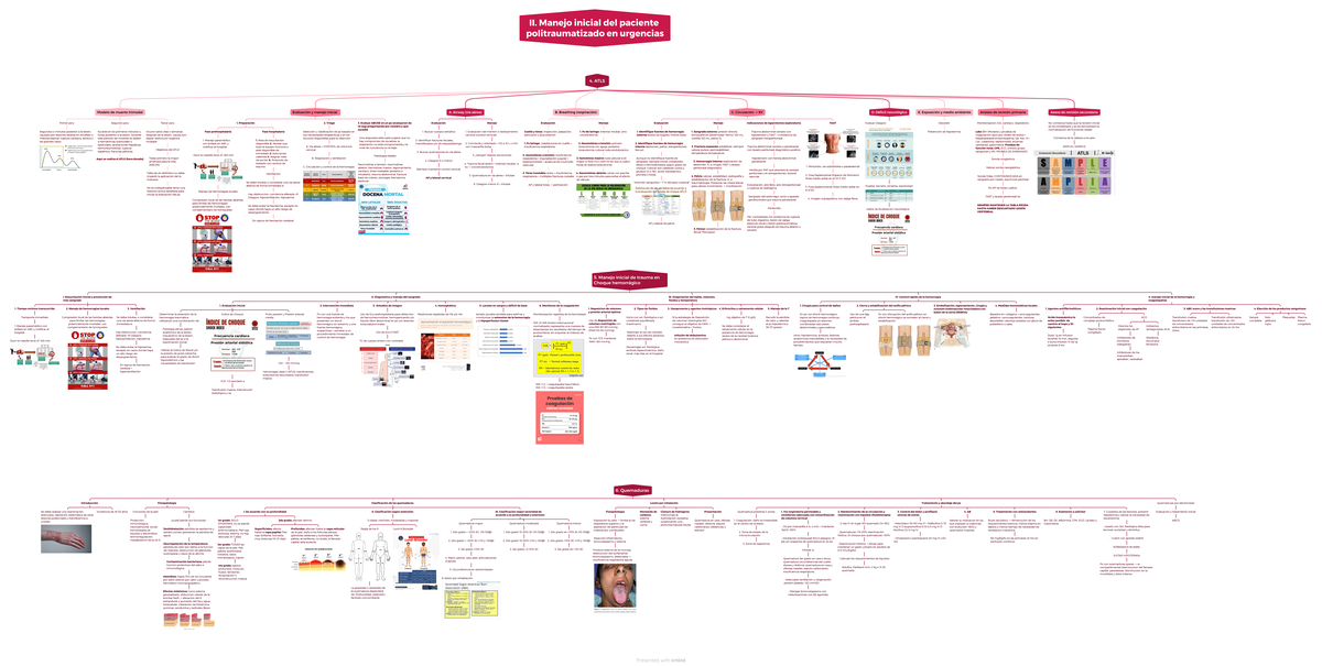 Manejo Inicial del Paciente Politraumatizado en Urgencias - II. ATLS ...