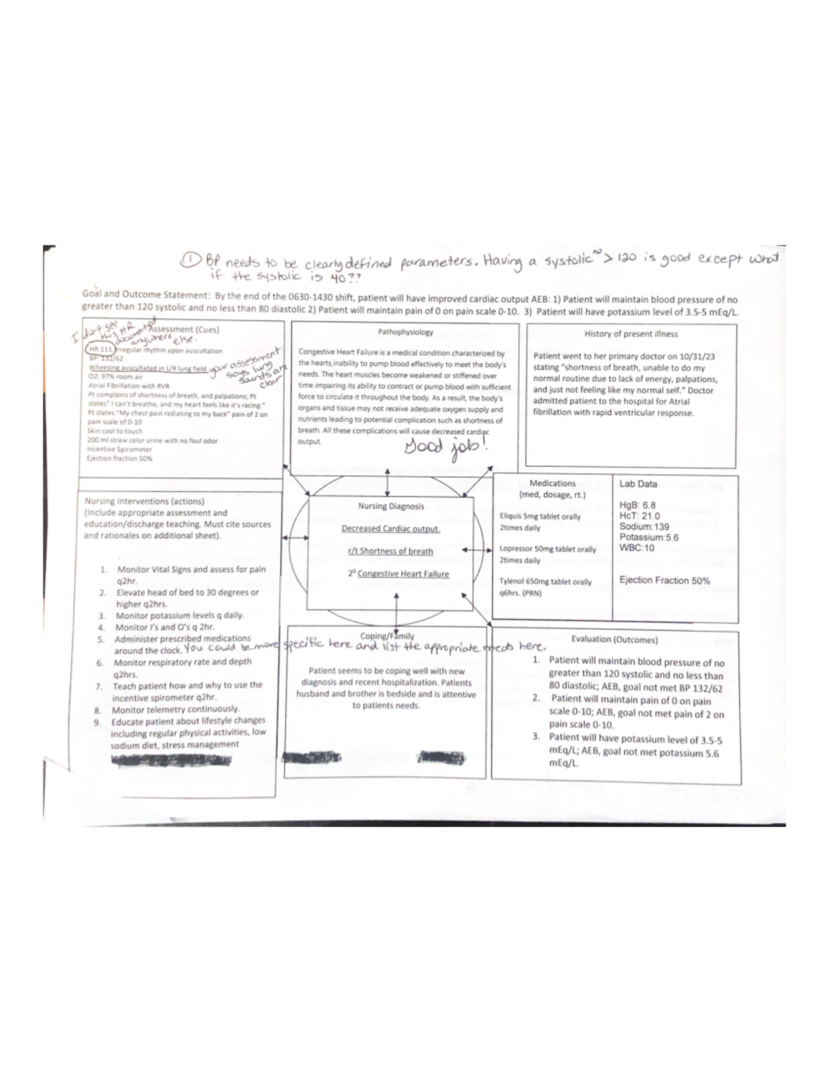 Goal and Outcome Statement for 0630-1430 Shift: Cardiac Output ...