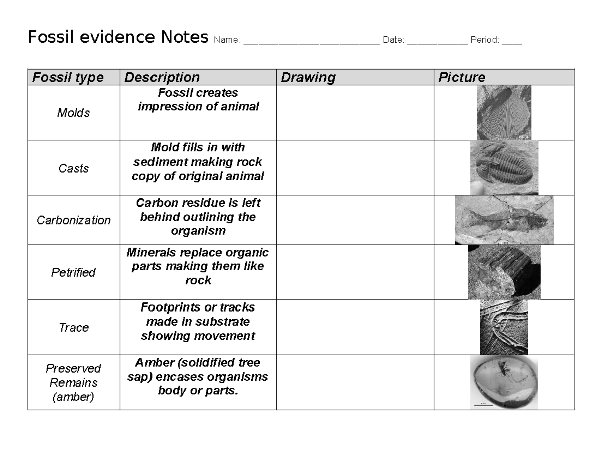 Fossil Evidence Notes (Science Course Code) - Fossil evidence Notes ...
