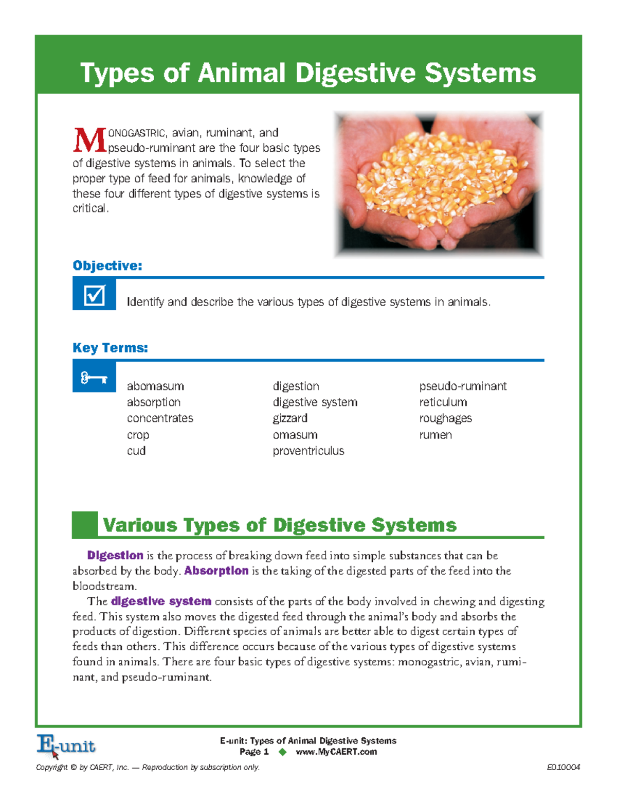 Understanding the Four Basic Types of Animal Digestive Systems - Studocu