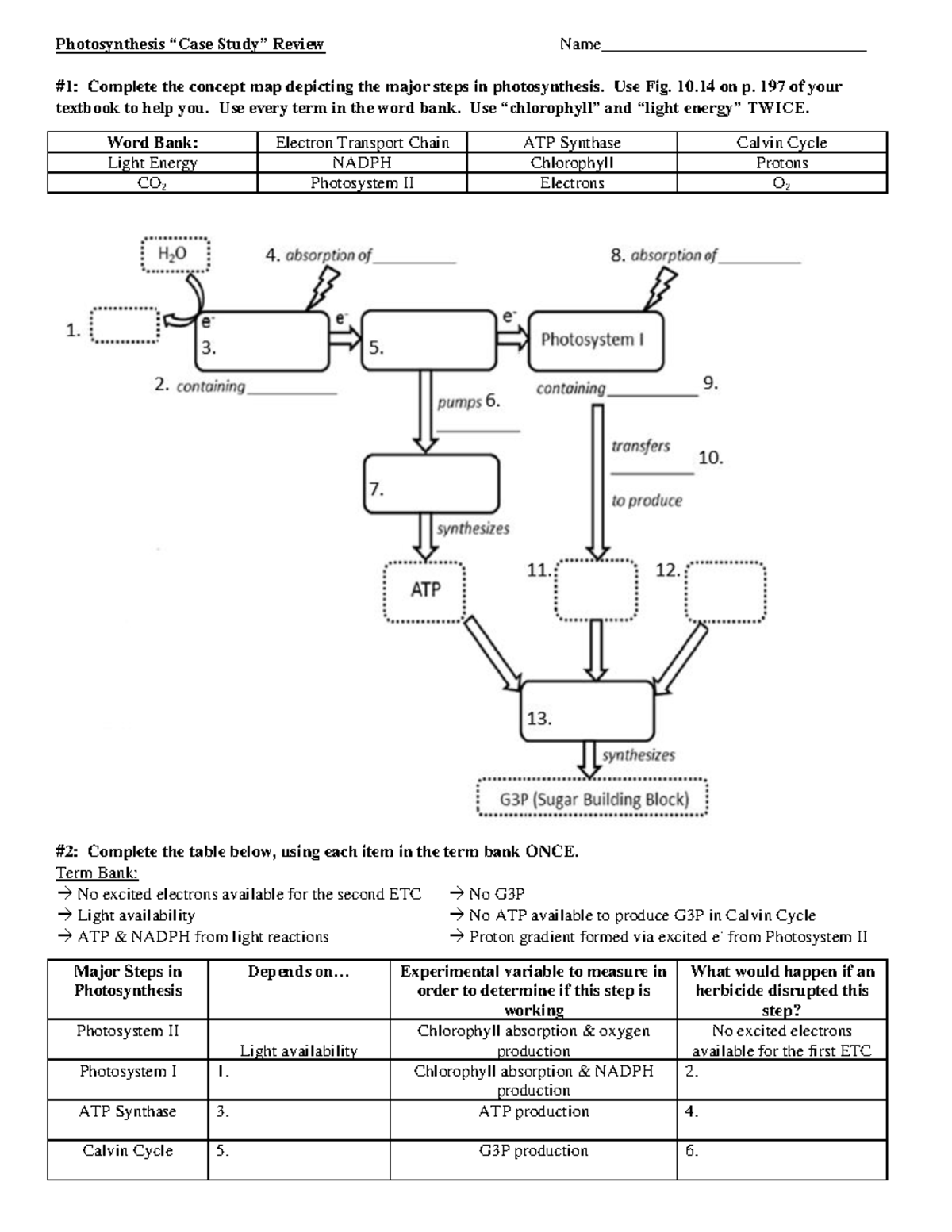 Photosynthesis Case Study 2021-2 - Photosynthesis “Case Study” Review ...
