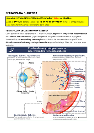 Sistema Endocrino - Guía práctica de estudio - Célula Qué es : es la ...