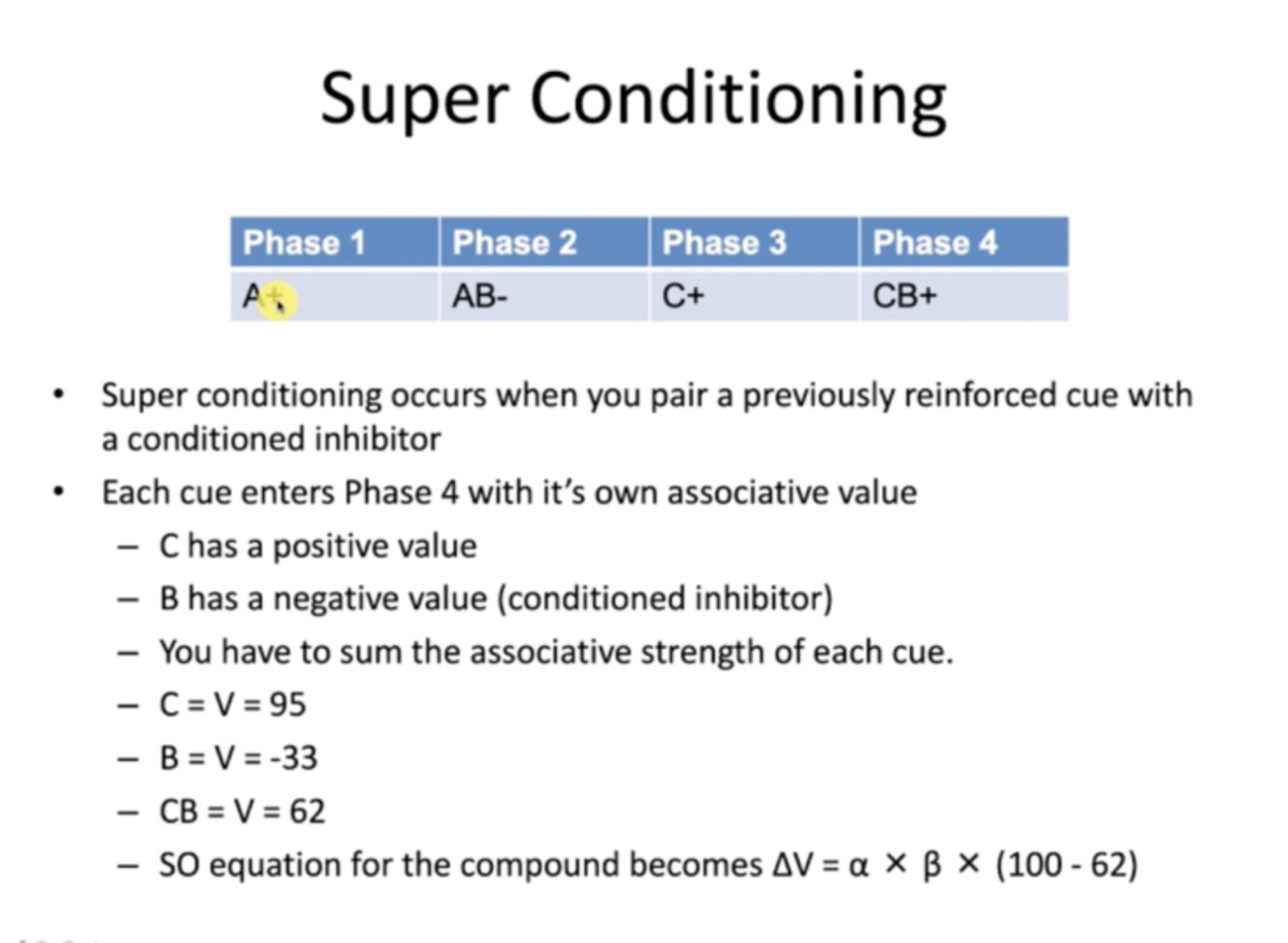 Super Conditioning: Phases 1 to 4 Analysis - Super Conditioning Phase 1 ...