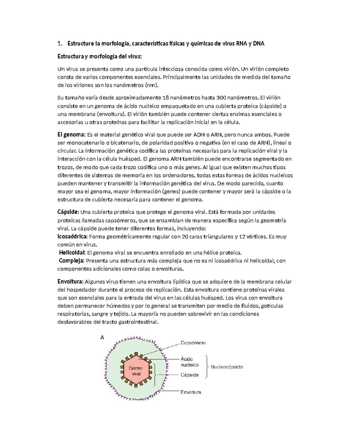 Micro trabajo - morfologia y estructura - Estructure la morfología ...