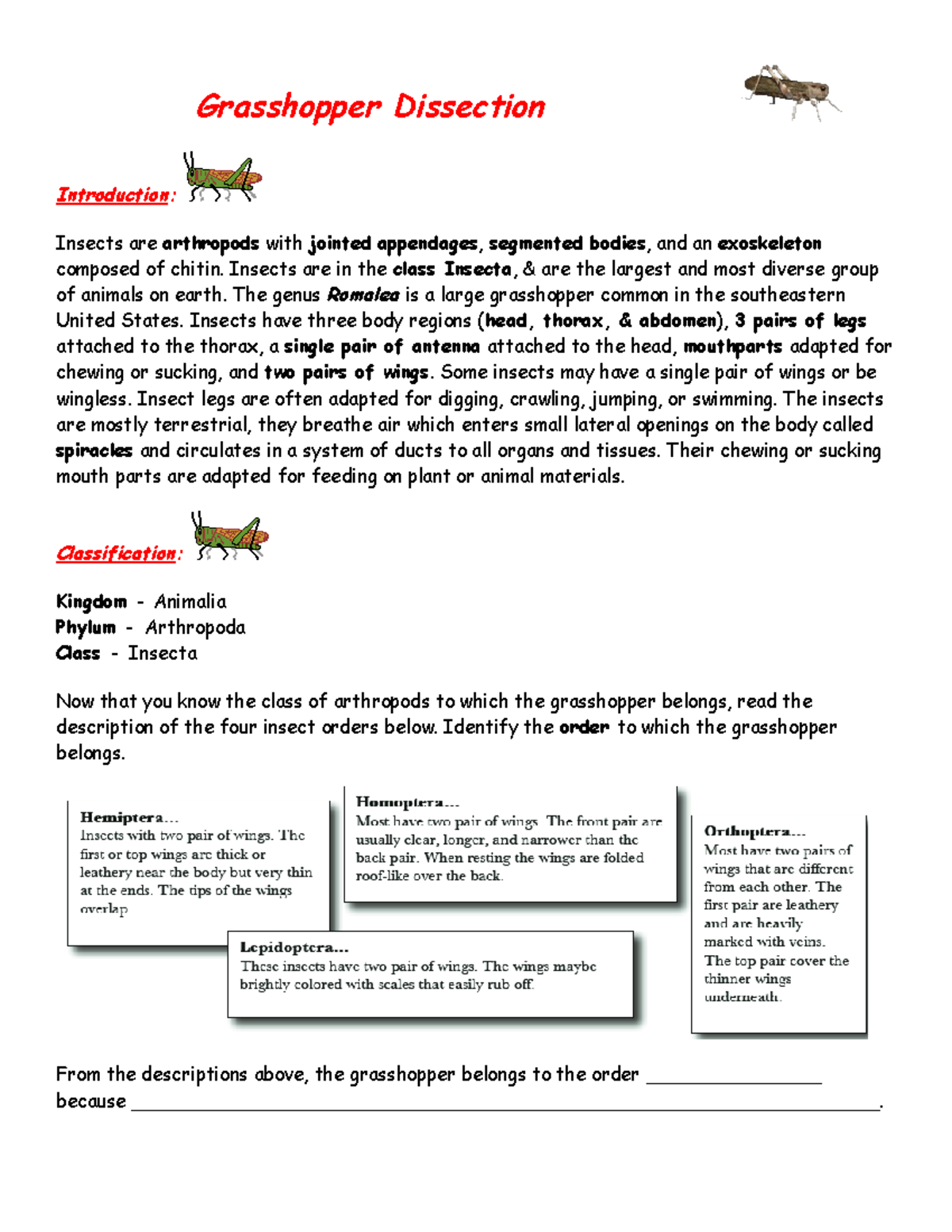 Grasshopper Dissection - Grasshopper Dissection Introduction: Insects ...