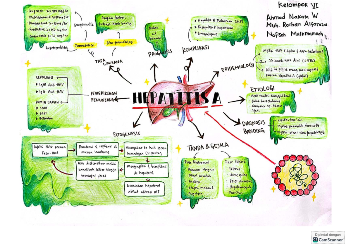 Kelompok VI Mind Map: Hepatitis A Overview and Management - Studocu