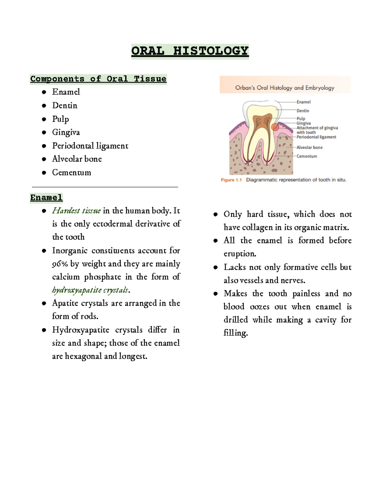 Oral histology - notes - ORAL HISTOLOGY Components of Oral Tissue ...