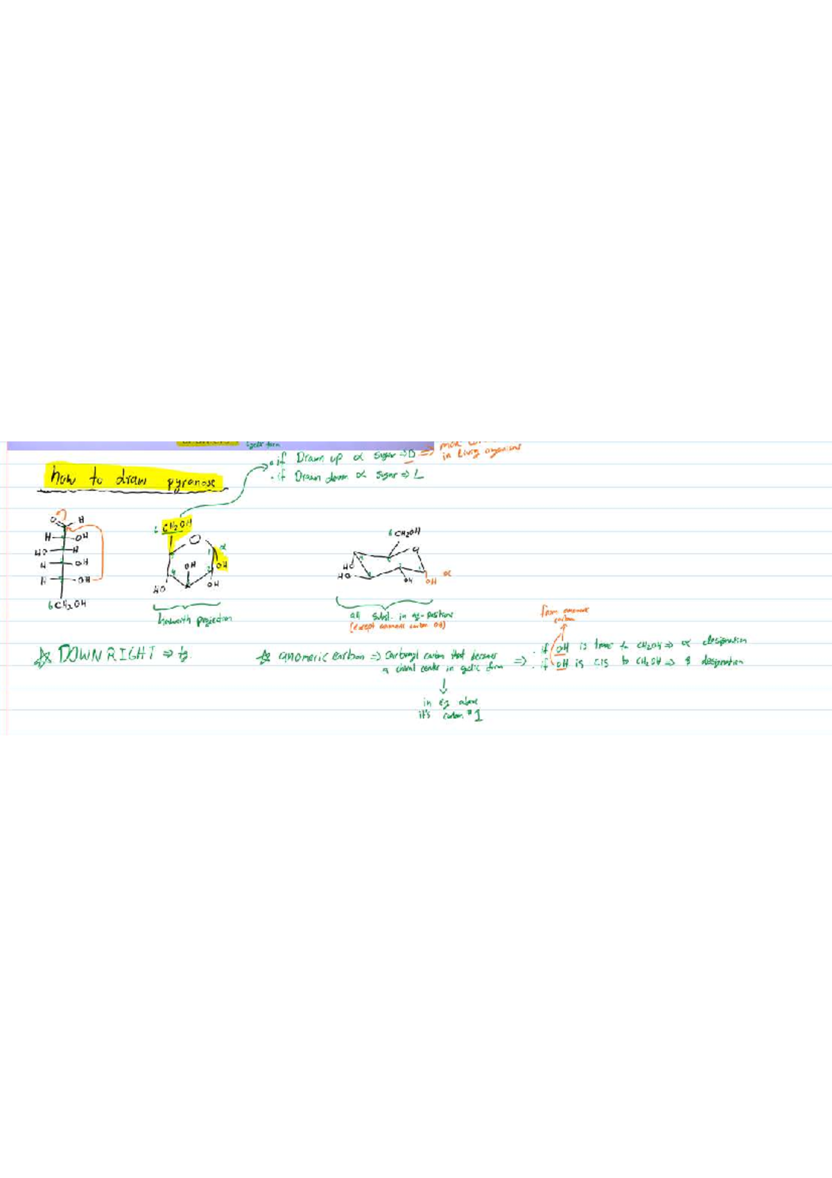 Carbs 3: Drawing Pyranose Structures and Haworth Projections - Studocu