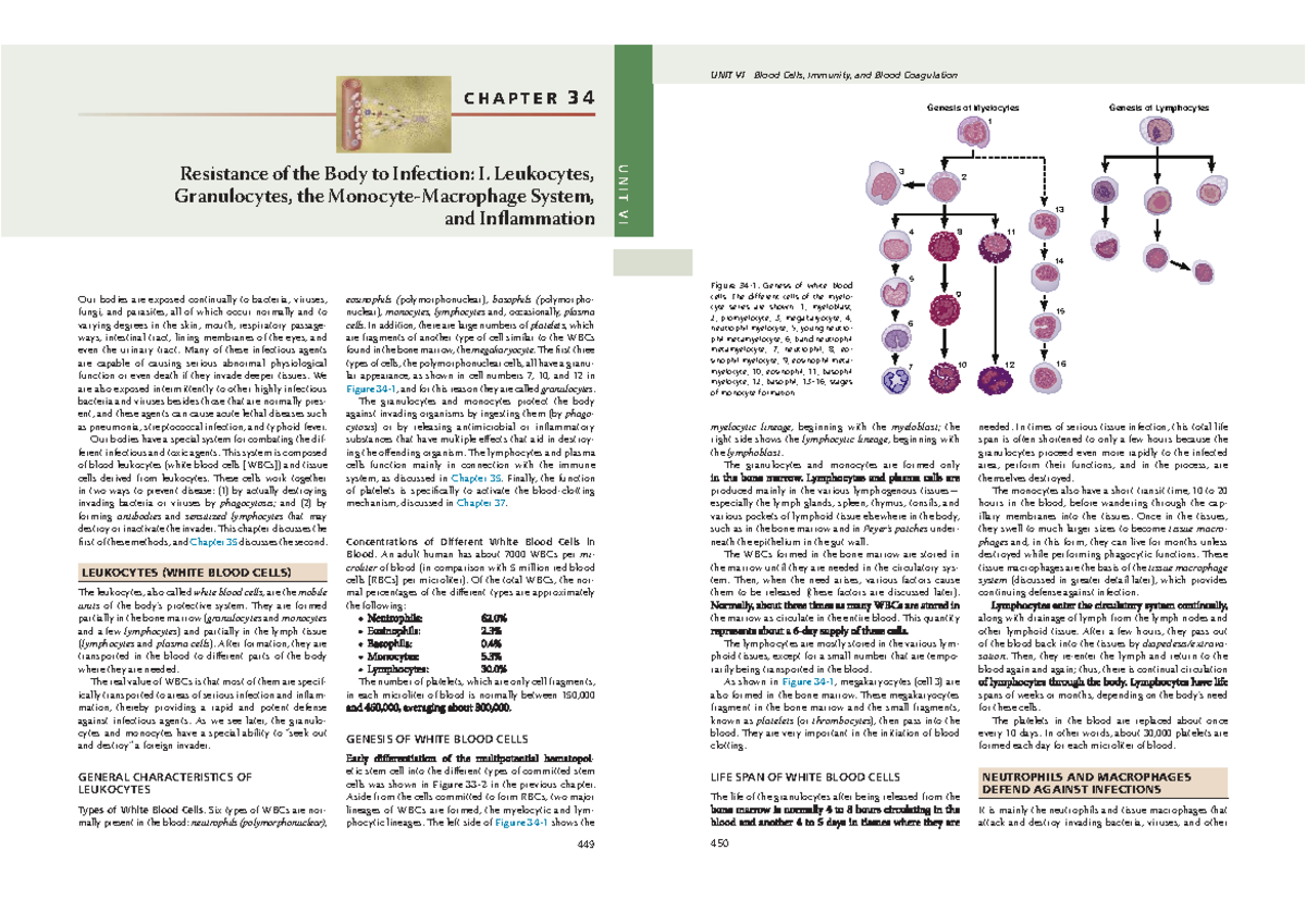UNIT VI Blood Cells, Immunity, and Blood Coagulation: Chapter 3-4 ...