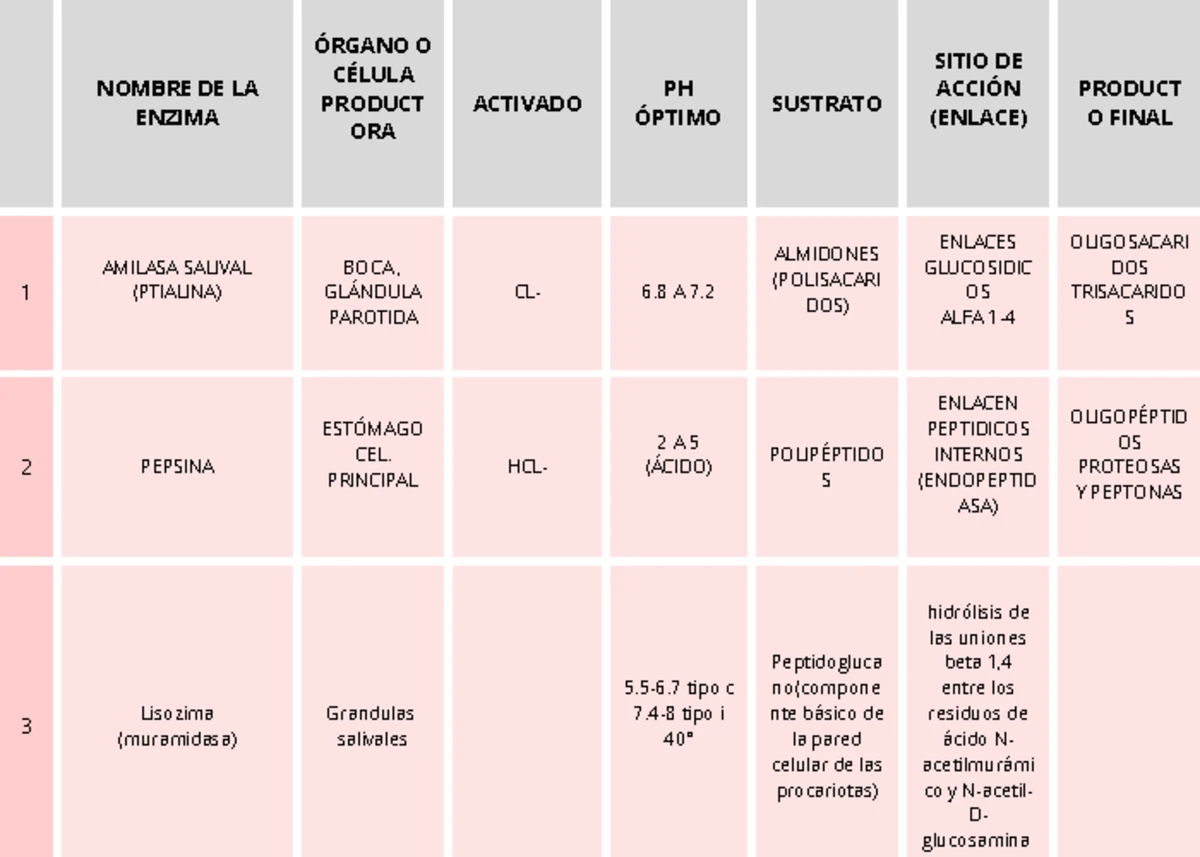 Estudio sobre las Enzimas Pancreáticas y su Función en la Digestión ...