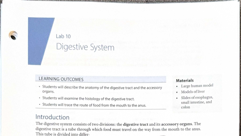 A&P II Lab 10 - Digestive System Anatomy and Histology Overview - Studocu