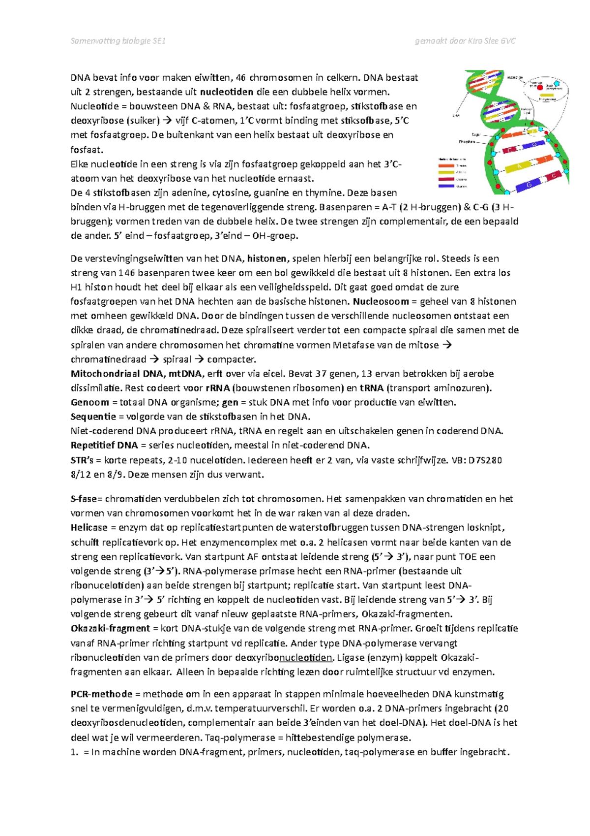 Samenvatting Biologie H17: DNA, Eiwitsynthese en Genregulatie - Studeersnel